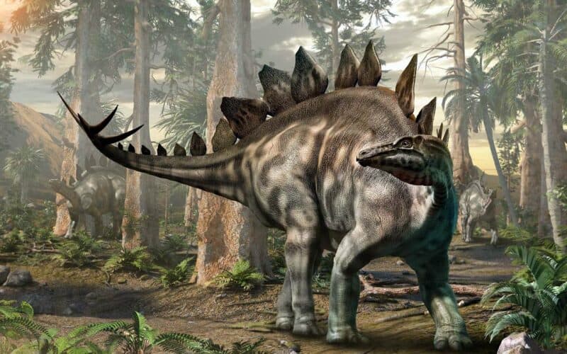 How Big is a Stegosaurus - The Dinosaur with Spikes | Dinosaur Universe