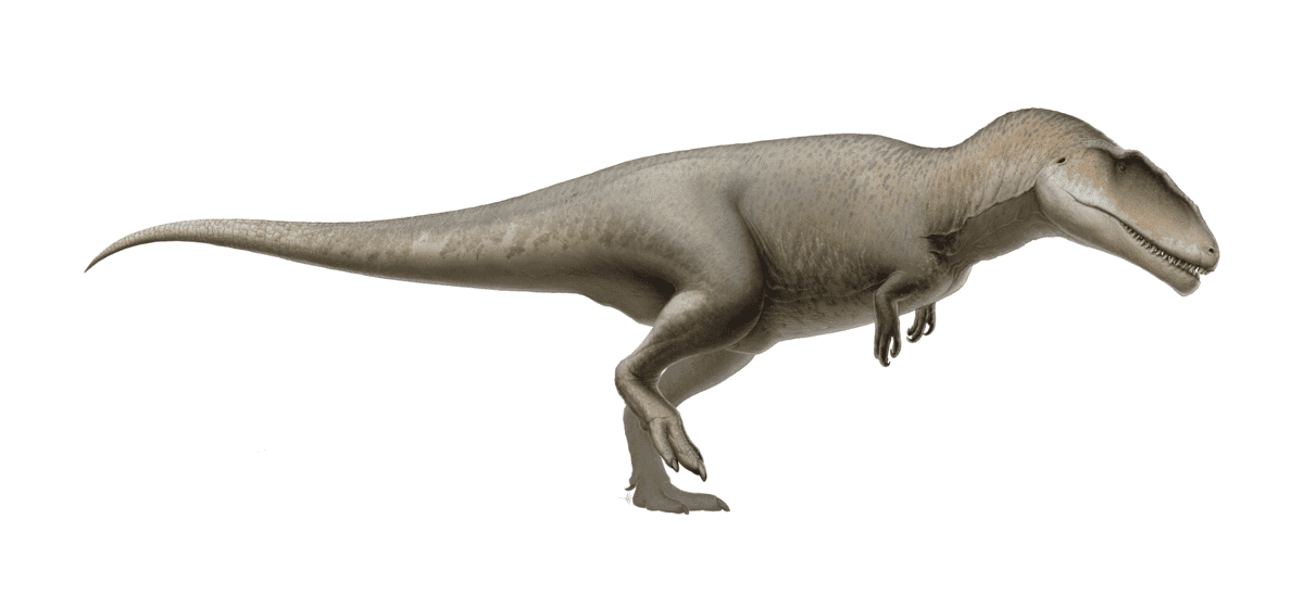 The Longest Dinosaur Name | Dinosaur Universe