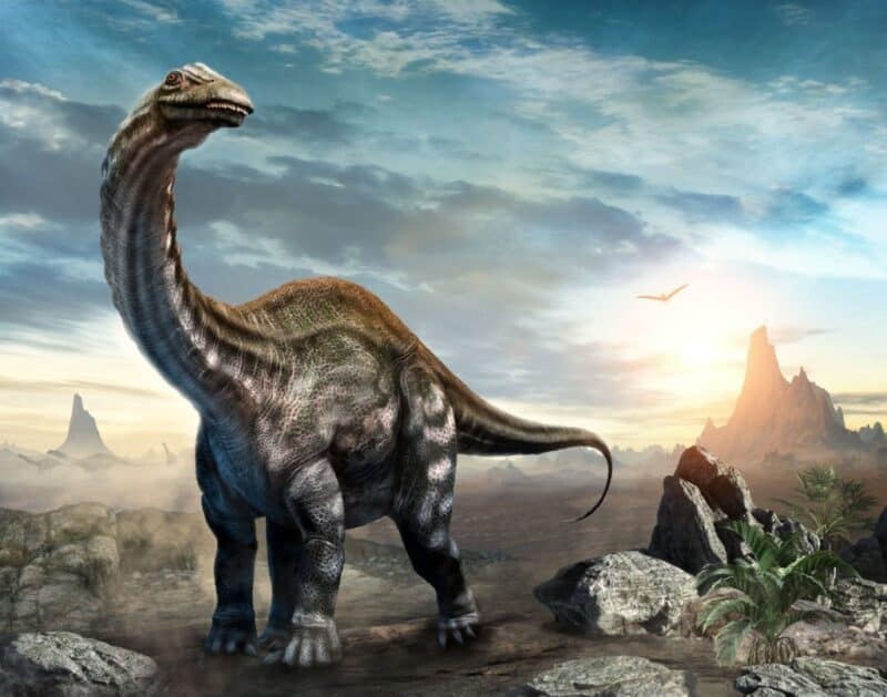 Top 15 Famous Dinosaurs with a Long Neck | Dinosaur Universe