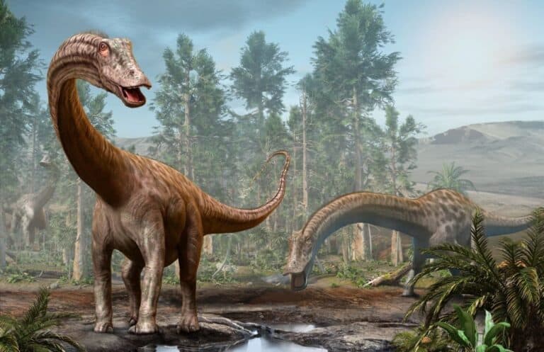 Top 15 Famous Dinosaurs with a Long Neck | Dinosaur Universe